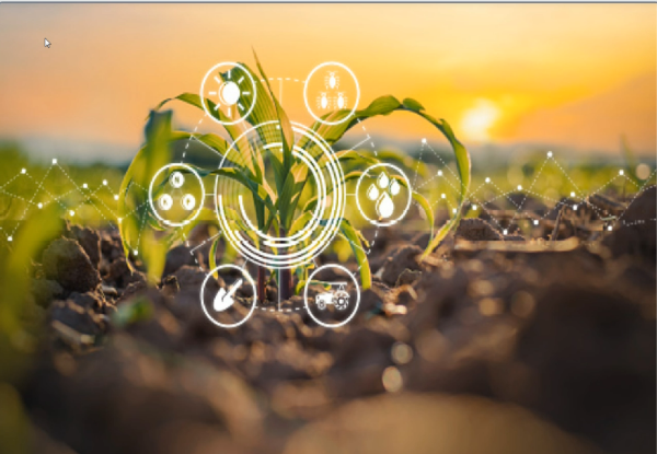 Digital farming - Codeavour 2022